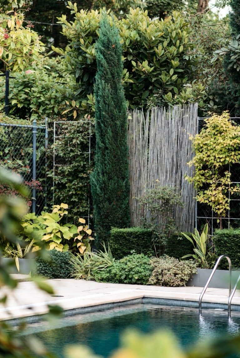 15 Pool Landscaping Ideas That Instantly Elevate Your Backyard - Spesh View